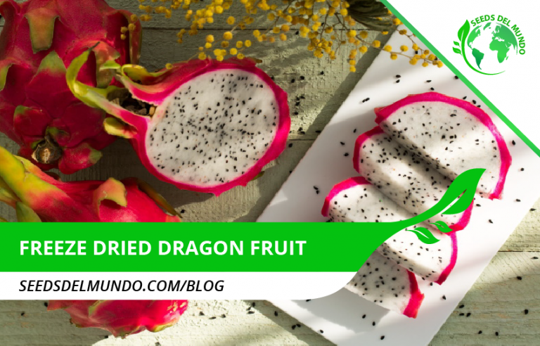 Freeze dried dragon fruit | Seeds del Mundo