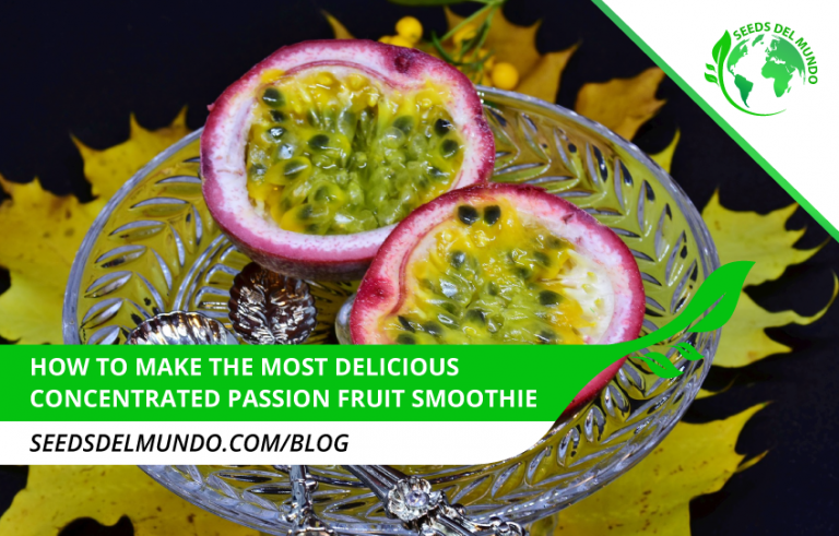 Making a concentrated passion fruit juice smoothie | Seeds Del Mundo